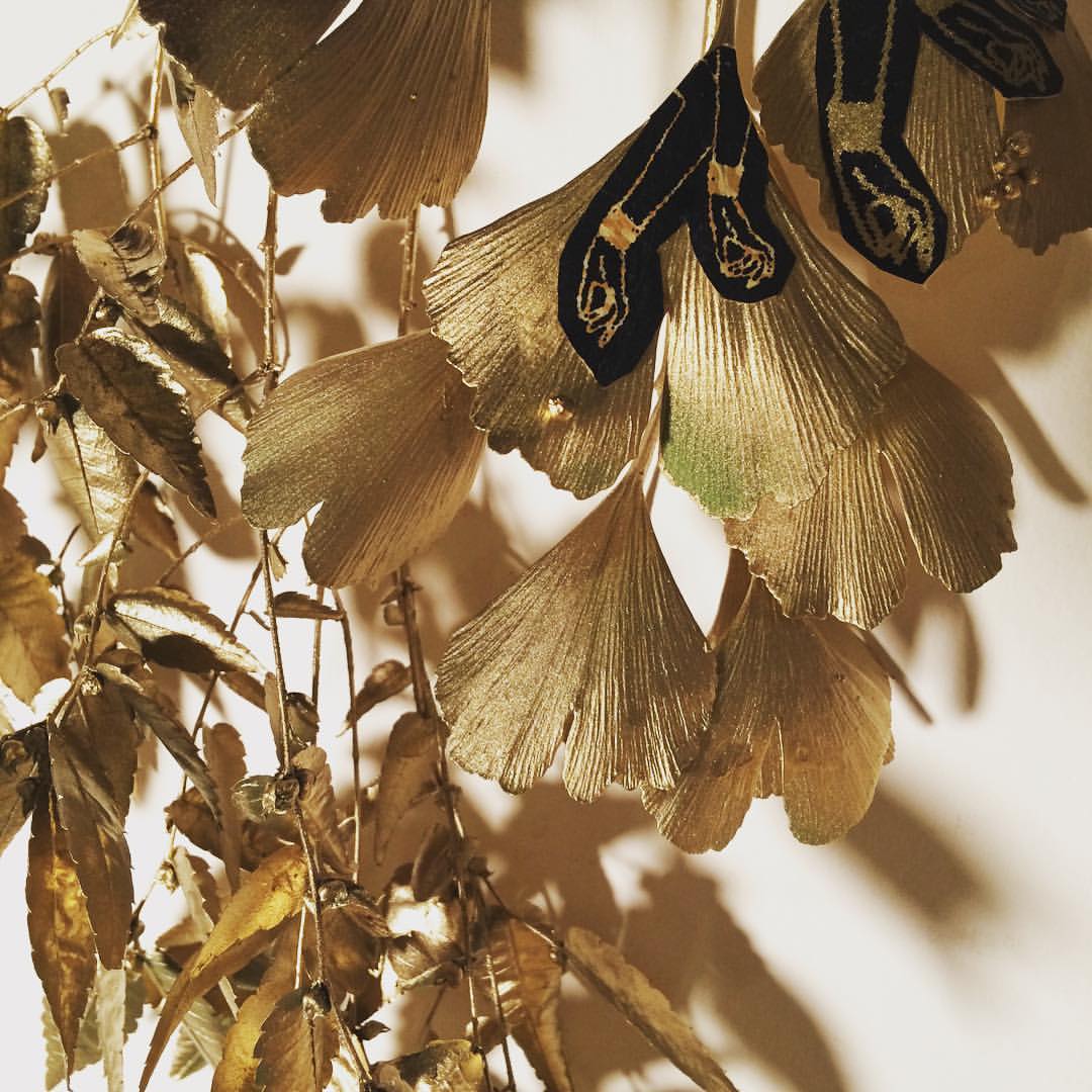 Portfolio – LISA CONRAD